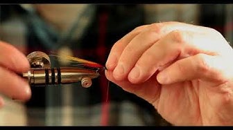 How to Tie the Park Shrimp Salmon Fly – Twinpeakesflyfishing