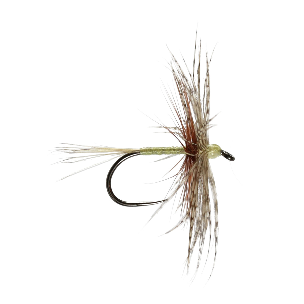 Olive Jingler Dry B/L Size 14 – Twinpeakesflyfishing
